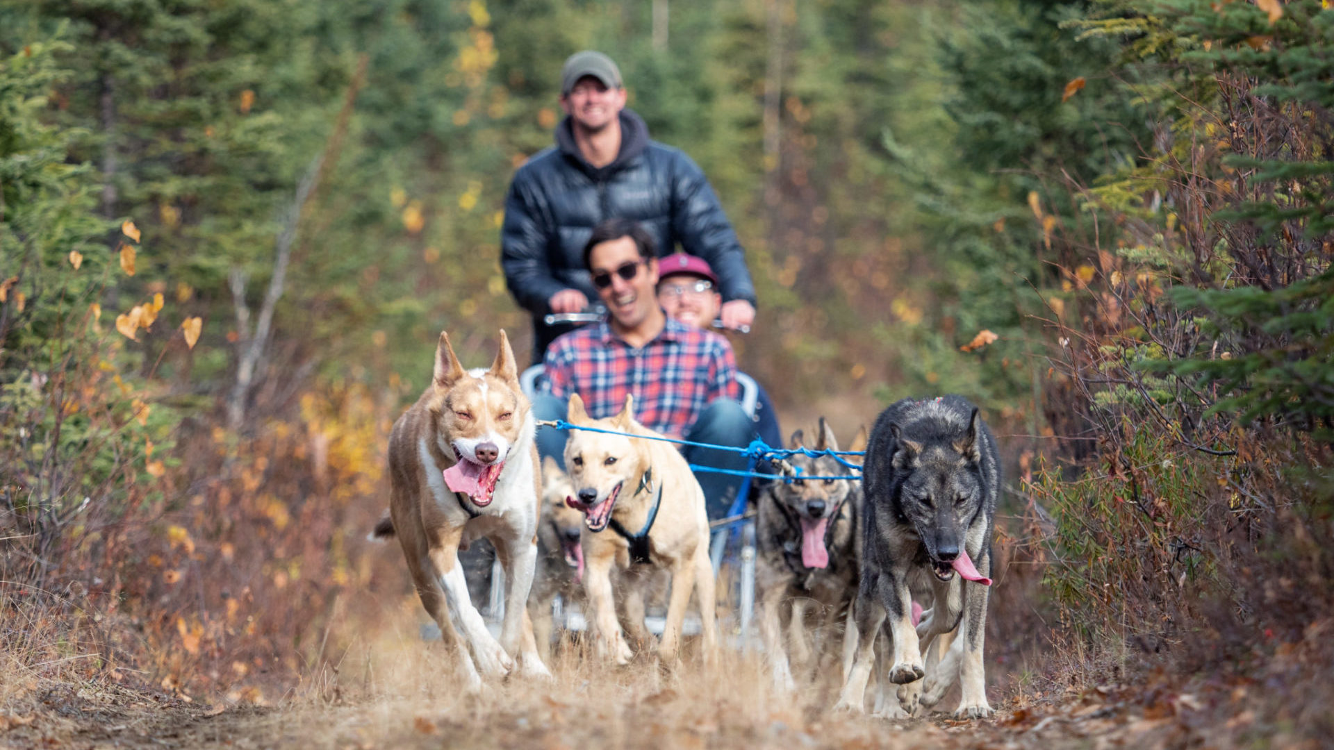 About Us | Alaska Mushing School